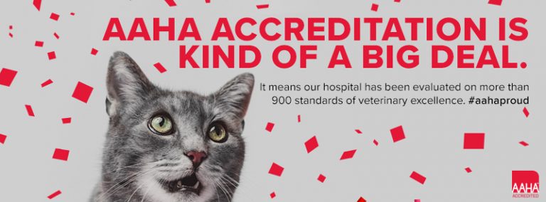 What’s in AAHA Accreditation? | Grady Veterinary Hospital