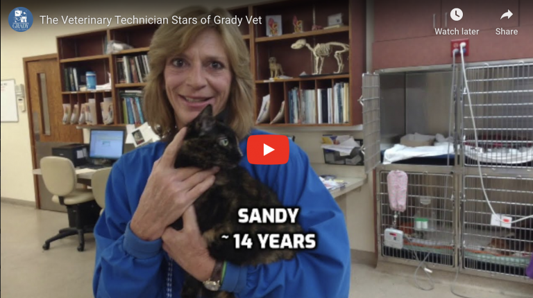 The Veterinary Technician Stars of Grady Vet | Grady Veterinary ...