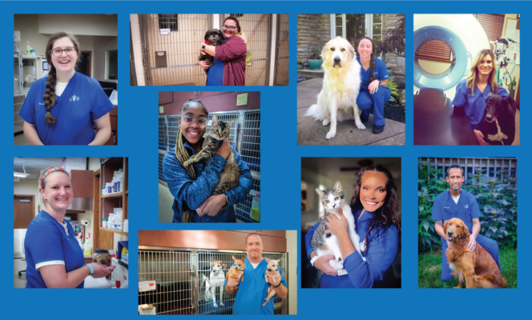 Our Blog | Grady Veterinary Hospital