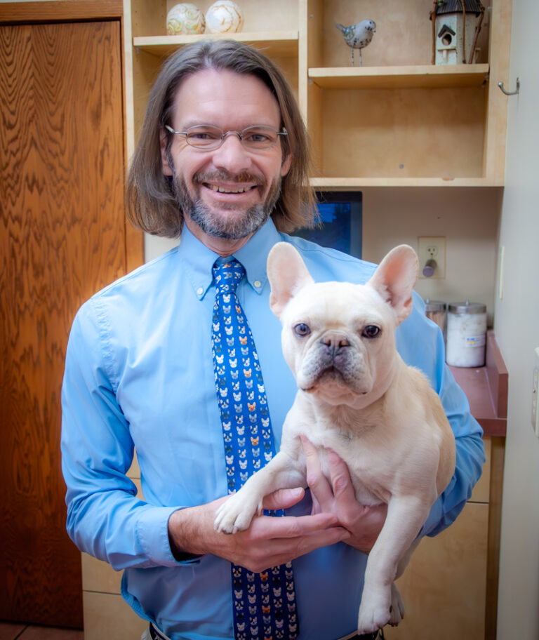 Meet Our New Veterinary Surgery Team | Grady Veterinary Hospital