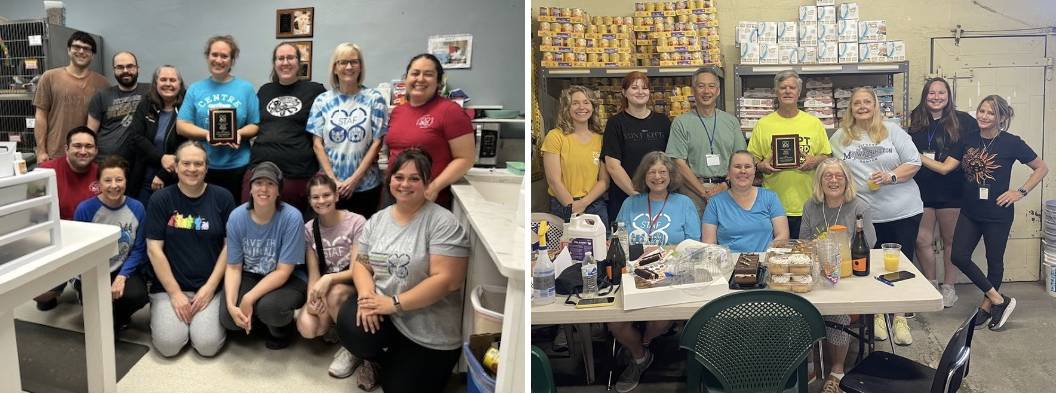 STAF Honors Veteran Animal Shelter Volunteers | Grady Veterinary ...