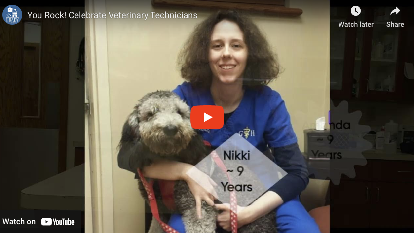 You Rock! Celebrate Veterinary Technicians | Grady Veterinary Hospital ...