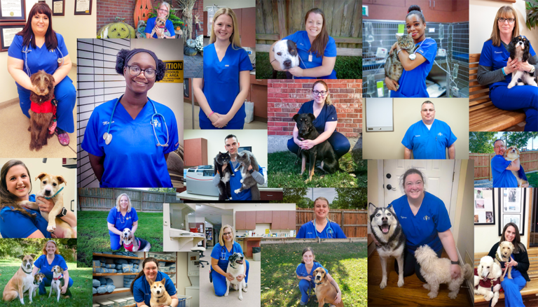 Our Veterinary Technicians Are the Best! | Grady Veterinary Hospital ...
