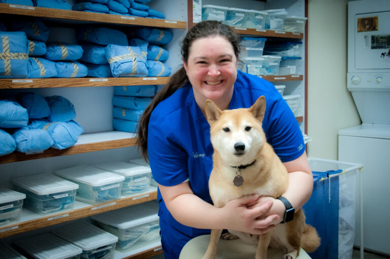 Grady Veterinary Hospital Photos | Grady Veterinary Hospital