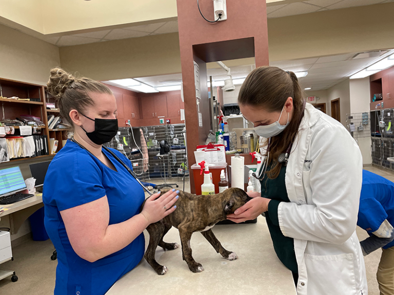 Grady Veterinary Hospital Photos | Grady Veterinary Hospital