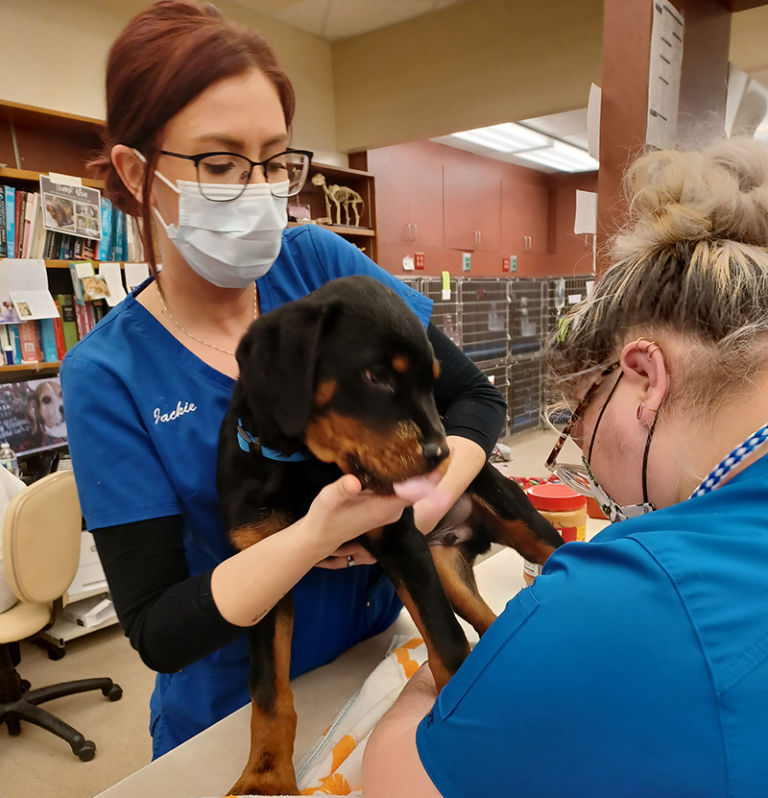 Grady Veterinary Hospital Photos | Grady Veterinary Hospital