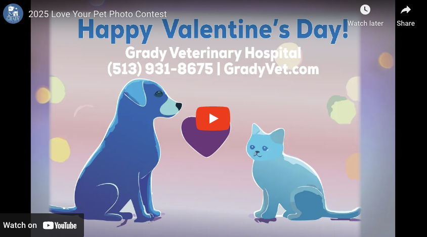 2025 Love Your Pet Photo Contest | Grady Veterinary Hospital | Grady ...